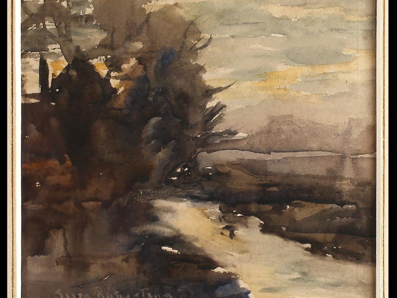 Landschap met beek