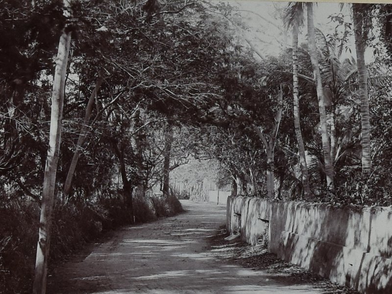 Weg rond het Schottegat ter hoogte van de plantages Bloemhof en ...